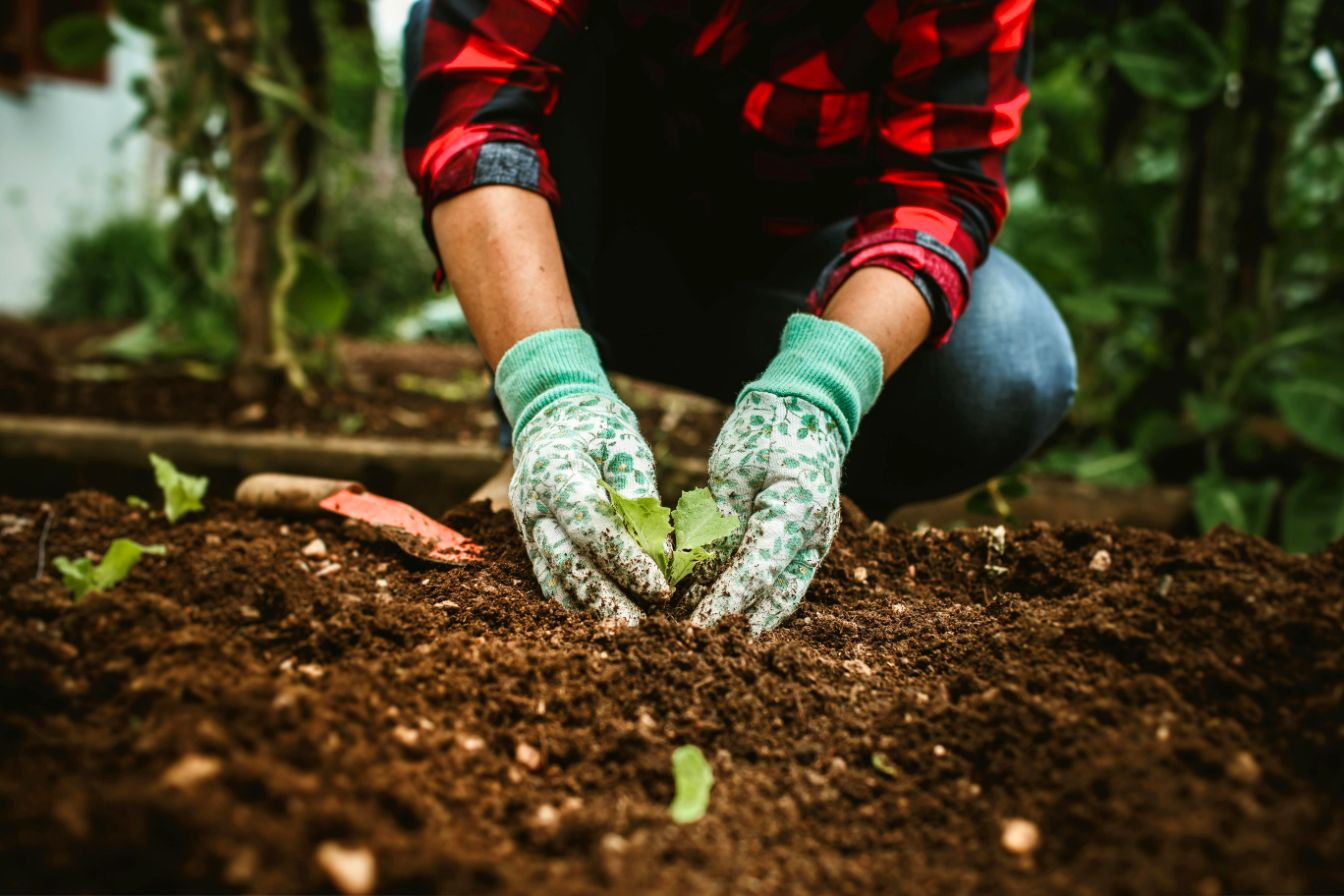 Refreshing Spring Activities for Seniors - Happier at Home